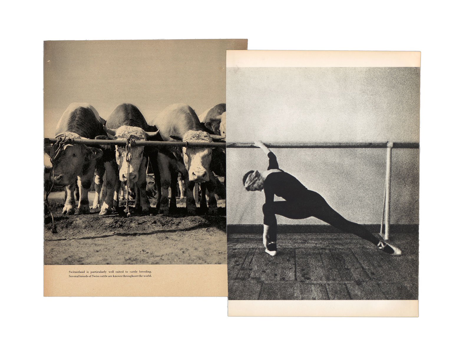 Handbook of the Spontaneous Other (2019) – Aikaterini Gegisian